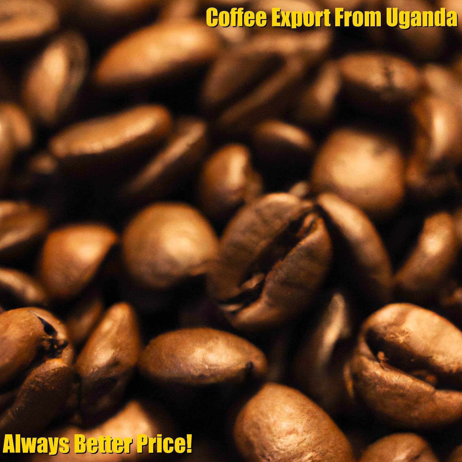 Vacancy: Business Administrator for (Coffee Trade - Export and Sales)